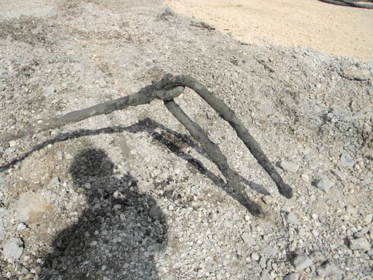 Marine Project: Bulkhead Evaluation - U.S. Forensic