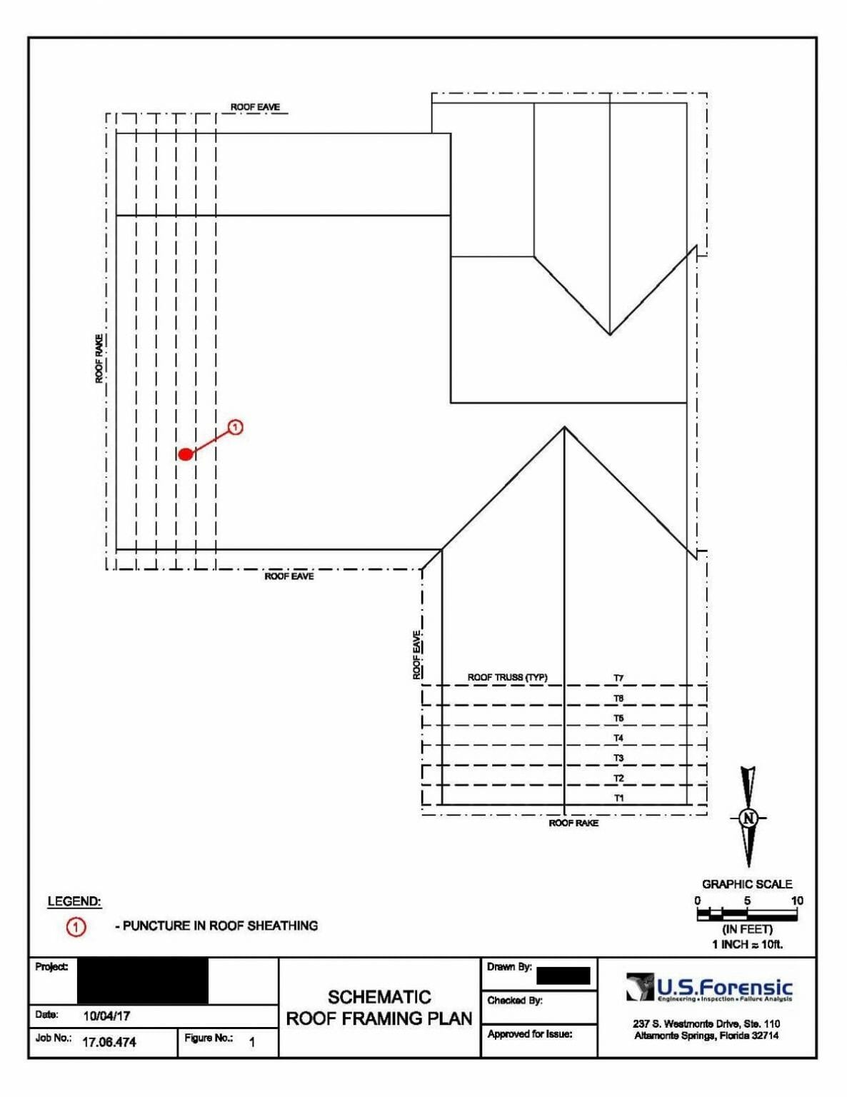 Tree Impact Damage Analysis - U.S. Forensic